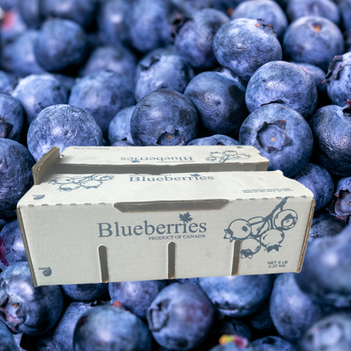 Blueberry Boxes for Sale - ACME Shipping Supplies in Surrey, BC
