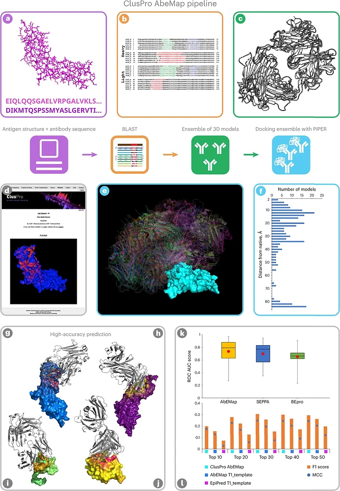 New server added: ClusPro AbEMap