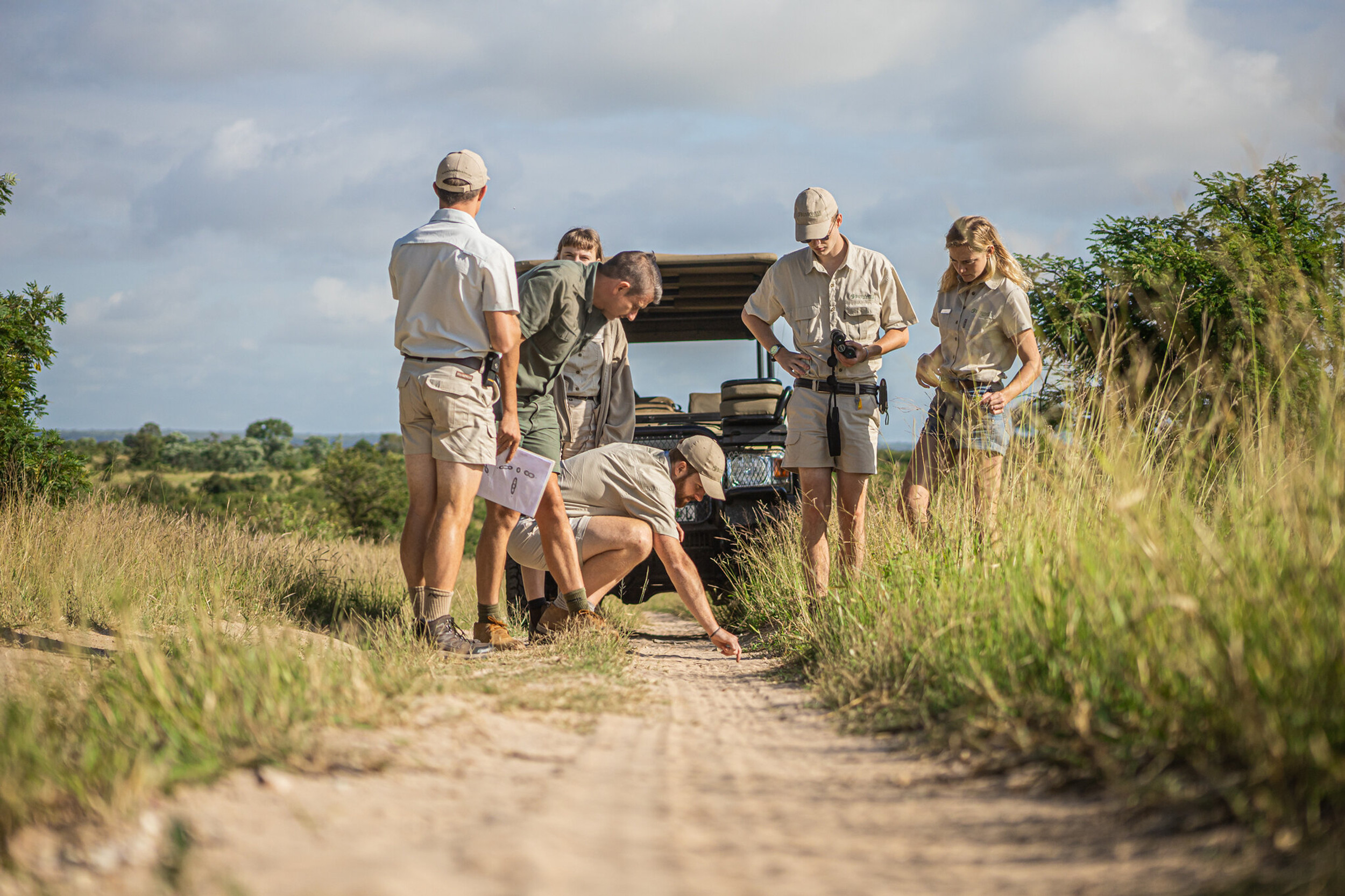 Sabbaticals with Bushwise | Wildlife, Conservation & Safari Training