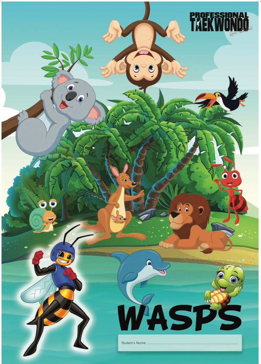 Wasps Grading Syllabus | professional