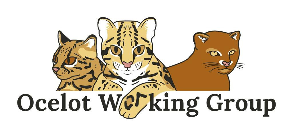 Felinos | Ocelot Working Group
