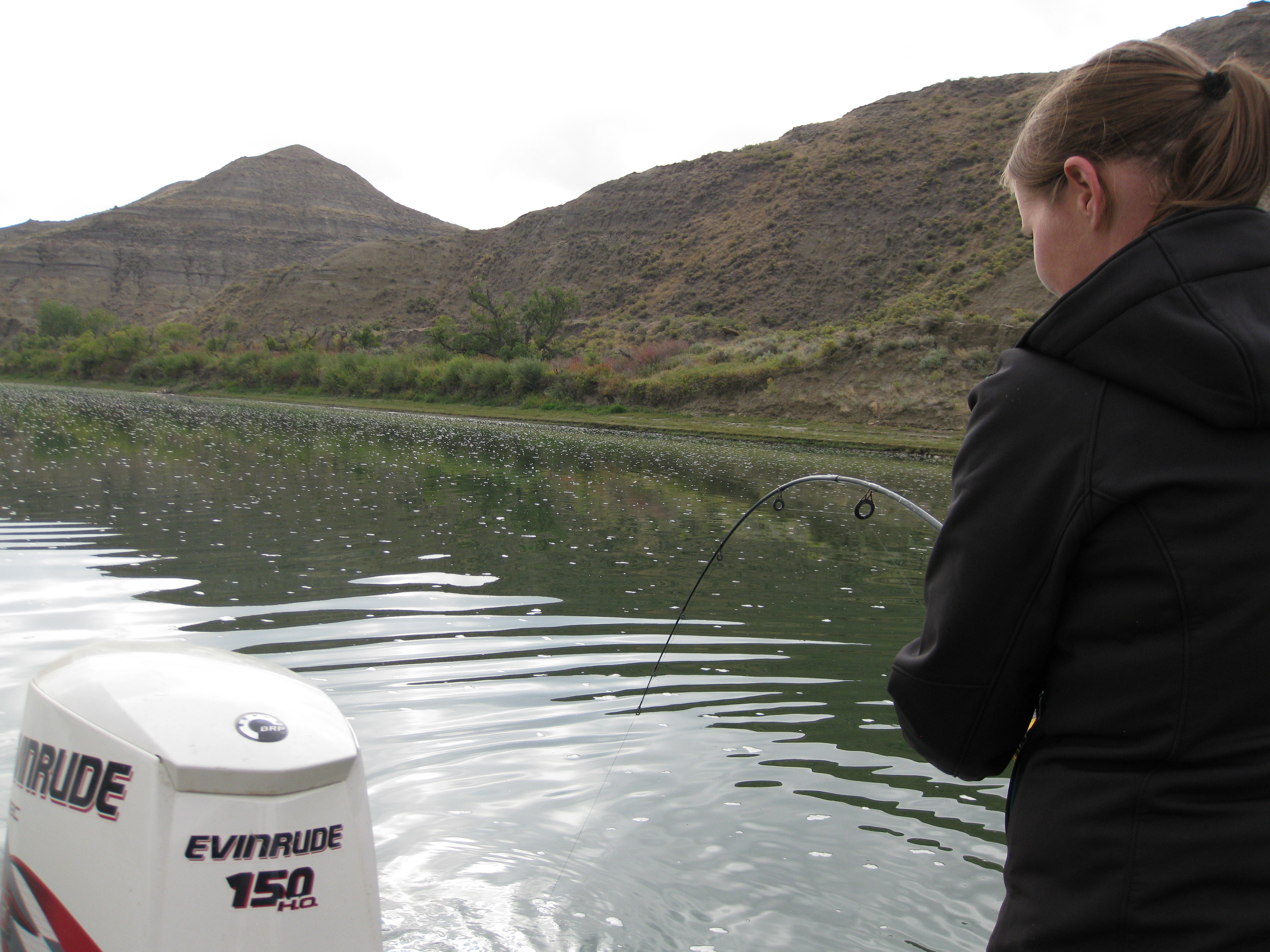 Guided Alberta sturgeon fishing trips and adventures.