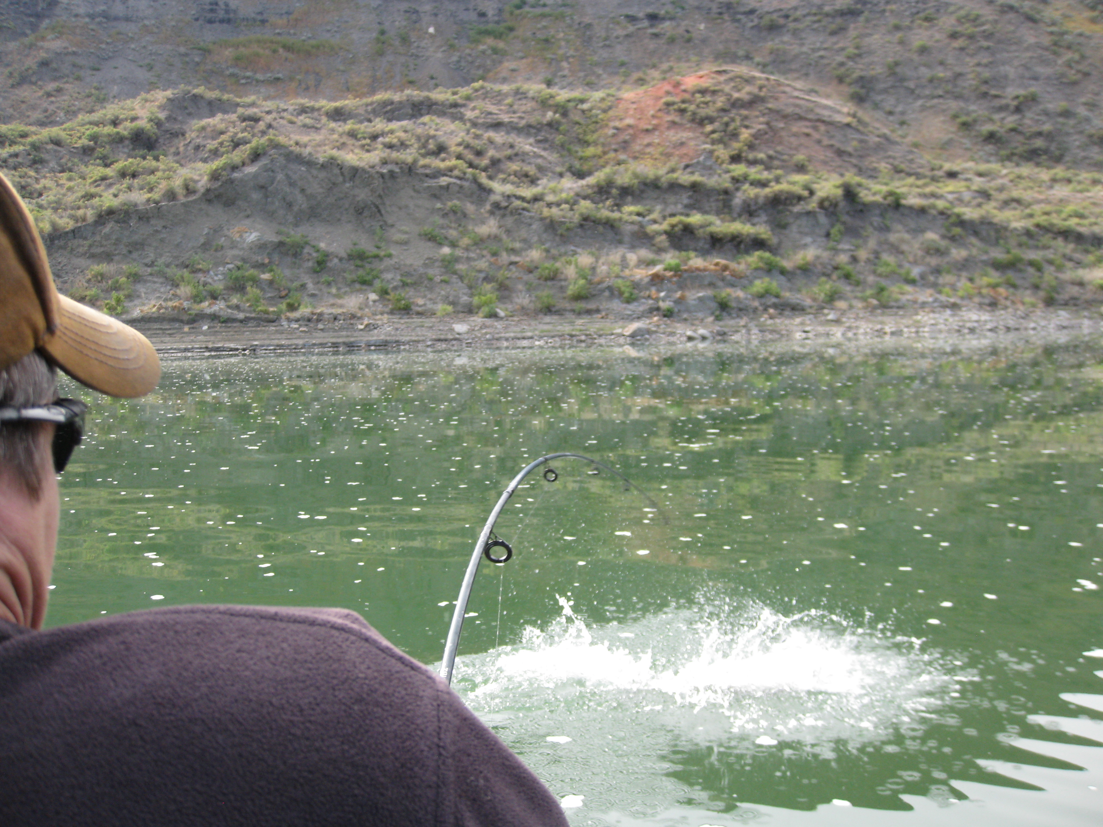 Guided Alberta sturgeon fishing trips and adventures.