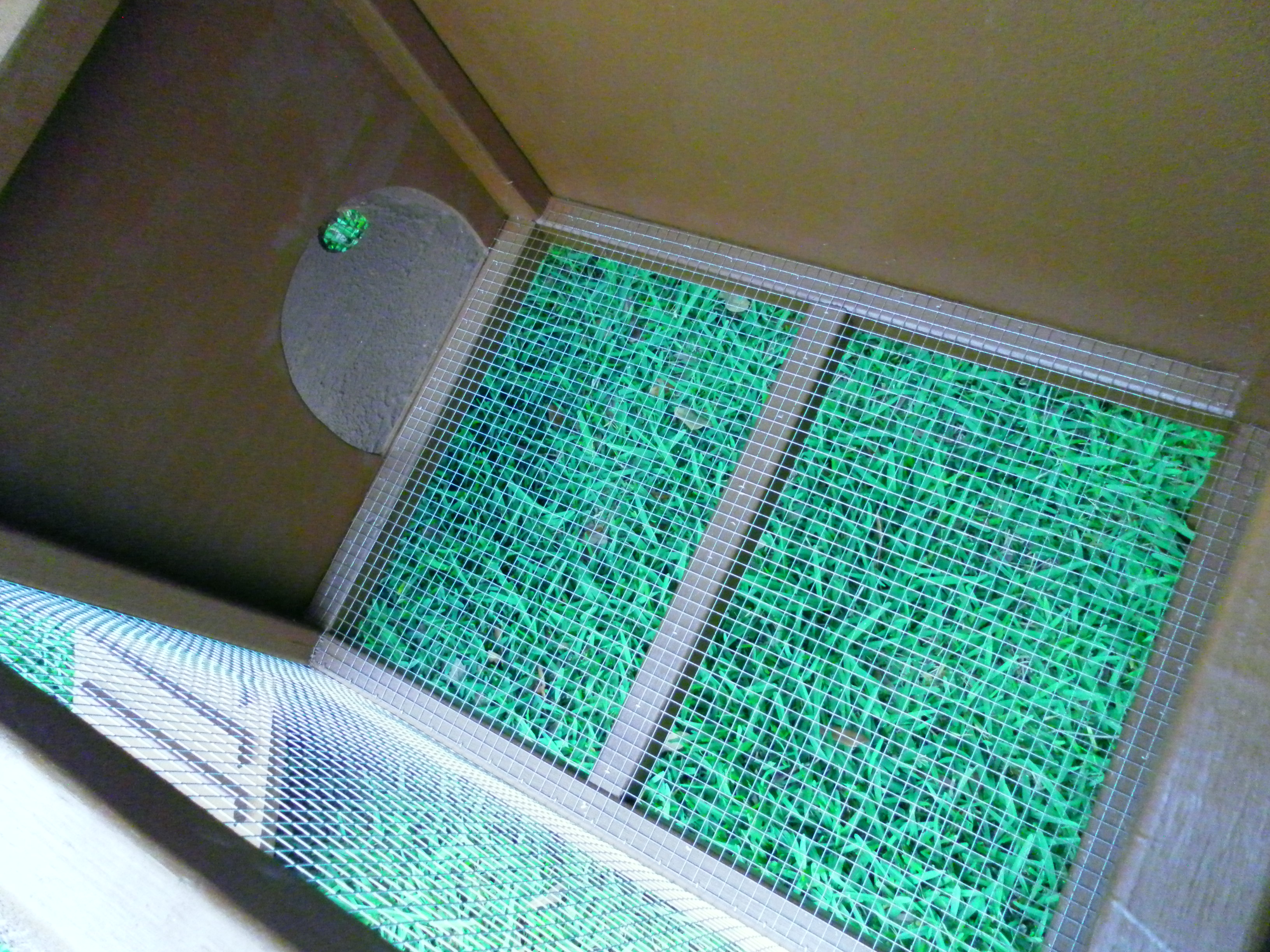 Rabbit & Guinea Pig Cages & Hutches - Indoor & Outdoor