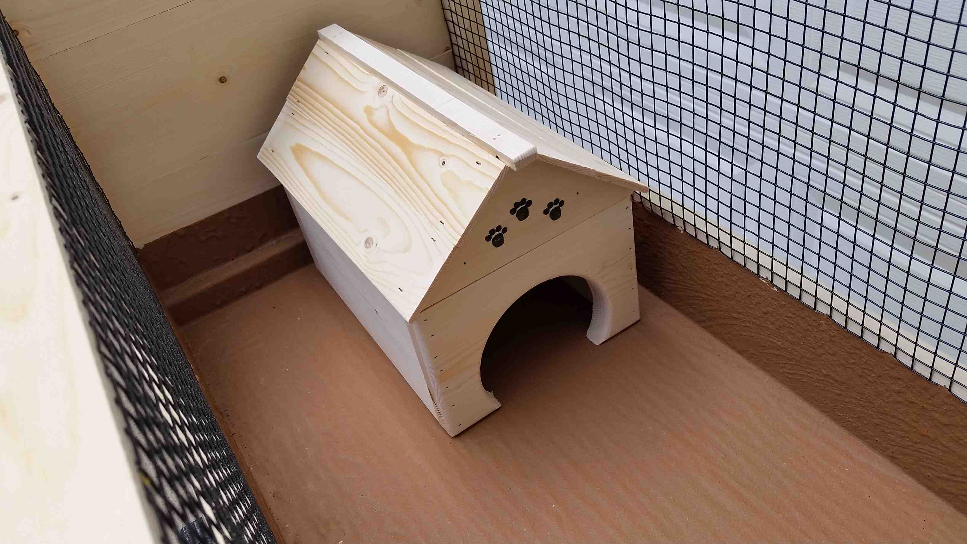 Hedge Hog Cages | critters