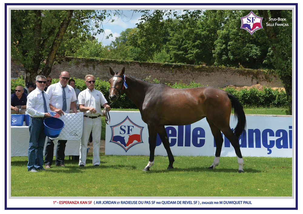 Du nouveau aux écuries