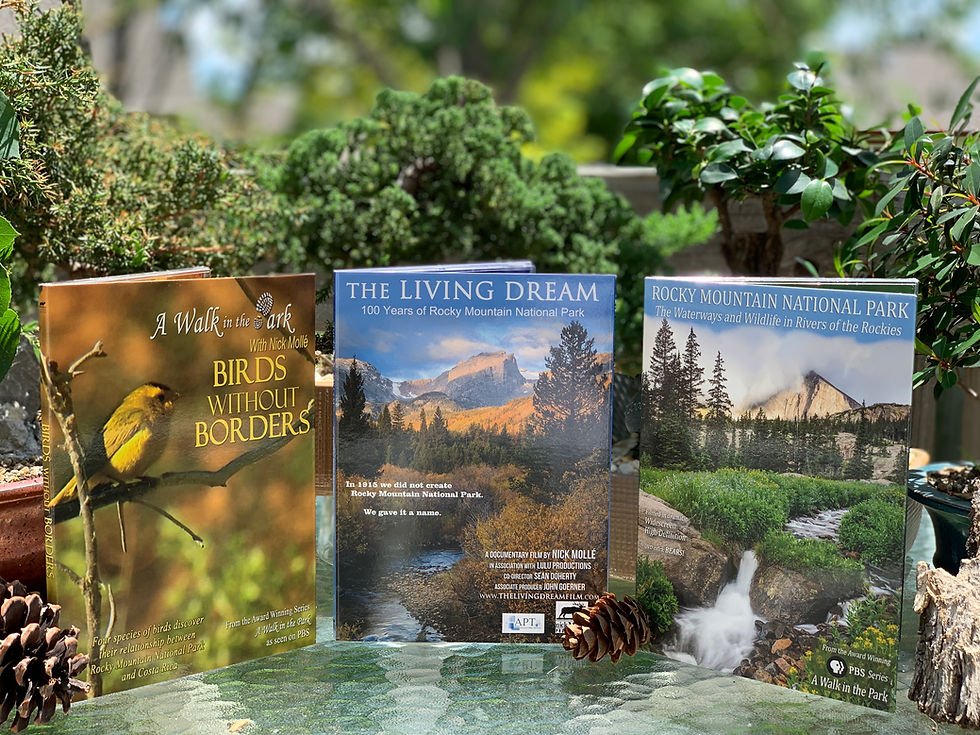 Shop | Nick Molle Prod.