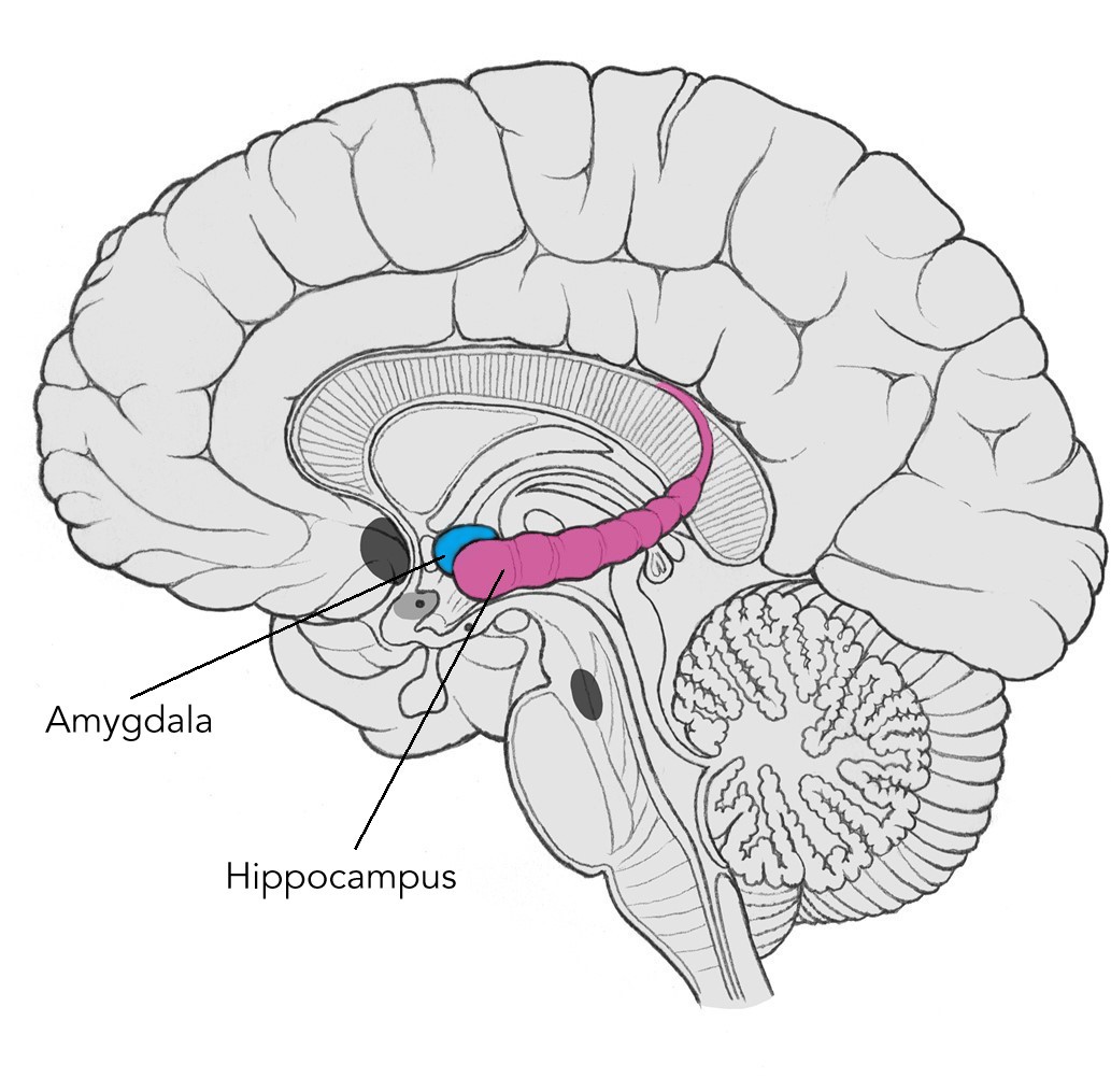 Why Do I Get Grumpy When I’m Tired?