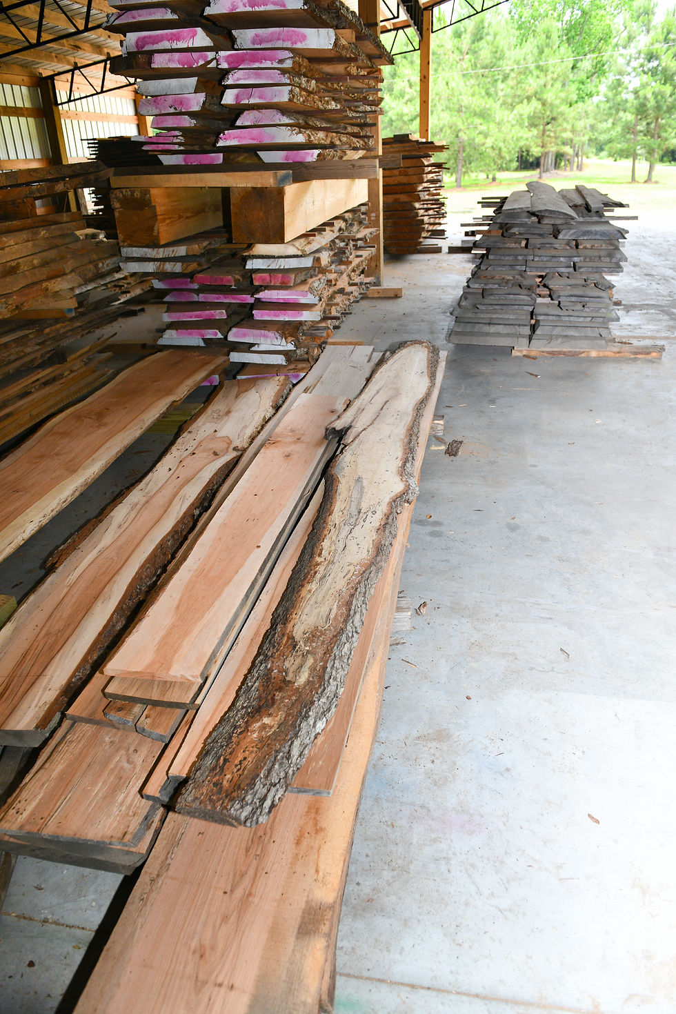 Gallery | Carolina Forest