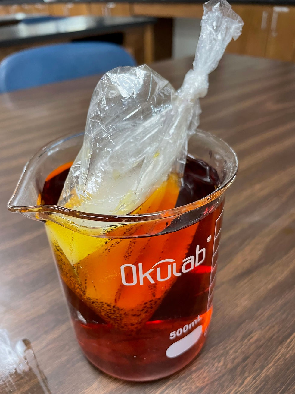 Cornstarch and Iodine Diffusion Lab