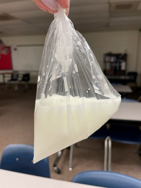 Cornstarch and Iodine Diffusion Lab