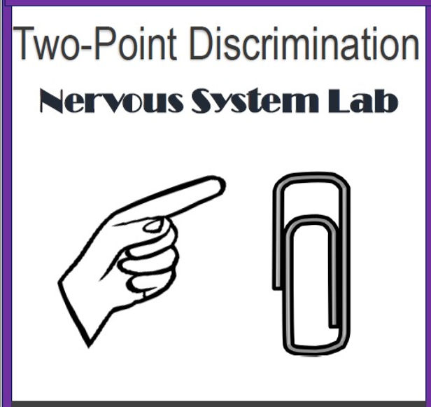 Two-Point Discrimination Lab
