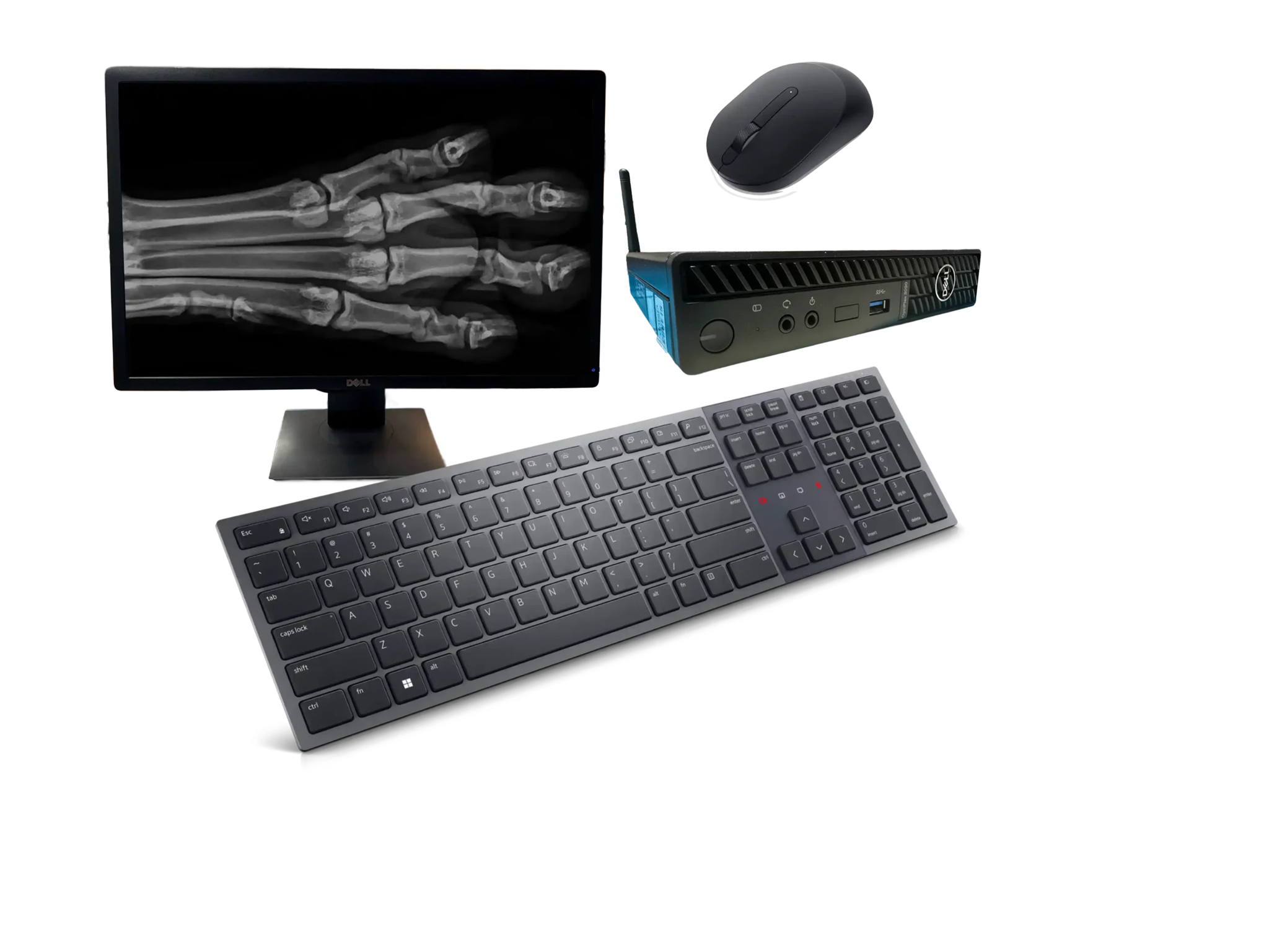 IT Support Solutions and Cloud-Based PACS for Veterinary Clinics | Vet ...