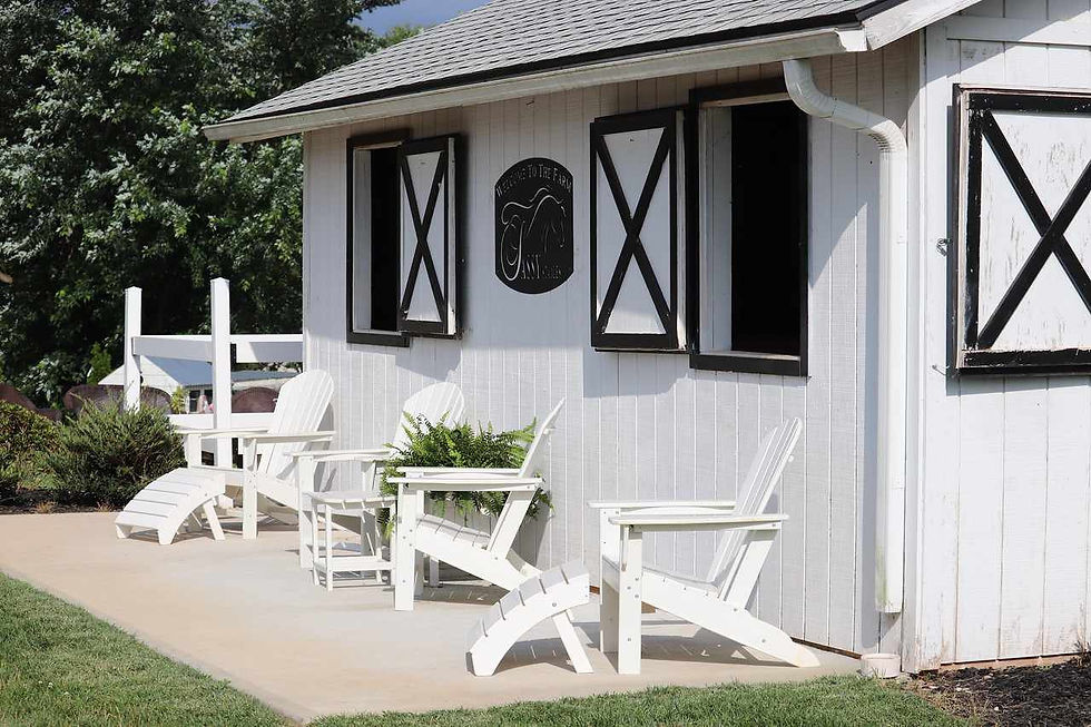 Horseback Riding in Greenville SC | Sassy Stables | United States