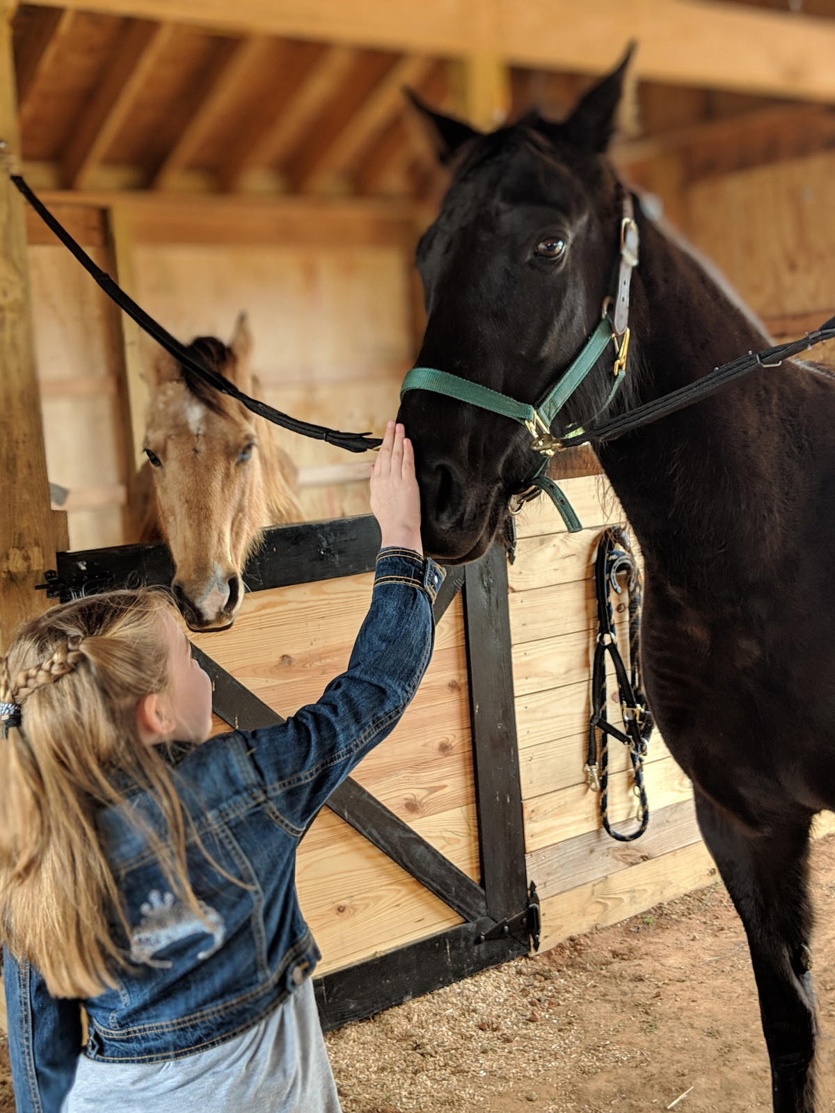 Fullscreen Page | Sassy Stables