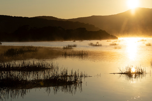 Golden | Barra Images Photographic Gallery