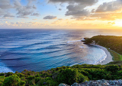 Ned's | Barra Images