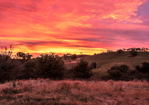 All Products | Barra Images Photographic Gallery