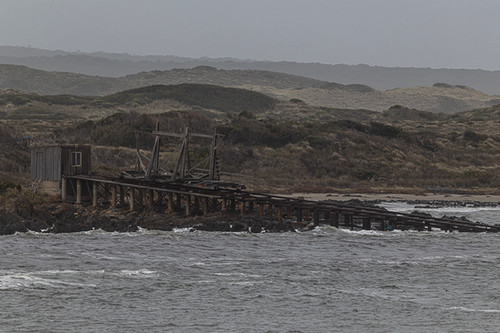 Wild | Barra Images Photographic Gallery