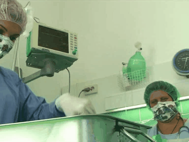 Amirah's Appendectomy