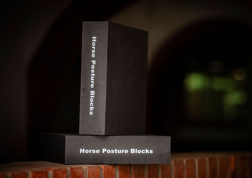 Horse Posture Blocks | Balanspaddar | Islandshästbutiken