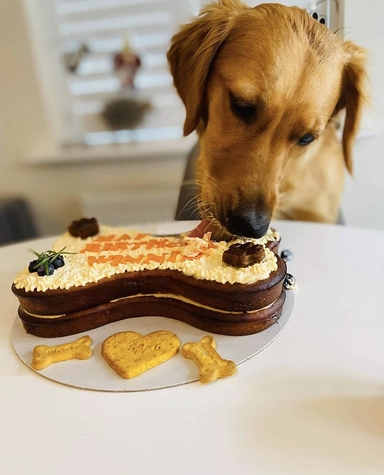 dog bone cake design