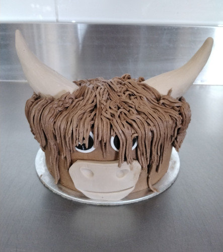 Highland Cow | Rosebowl Cafe & Bake