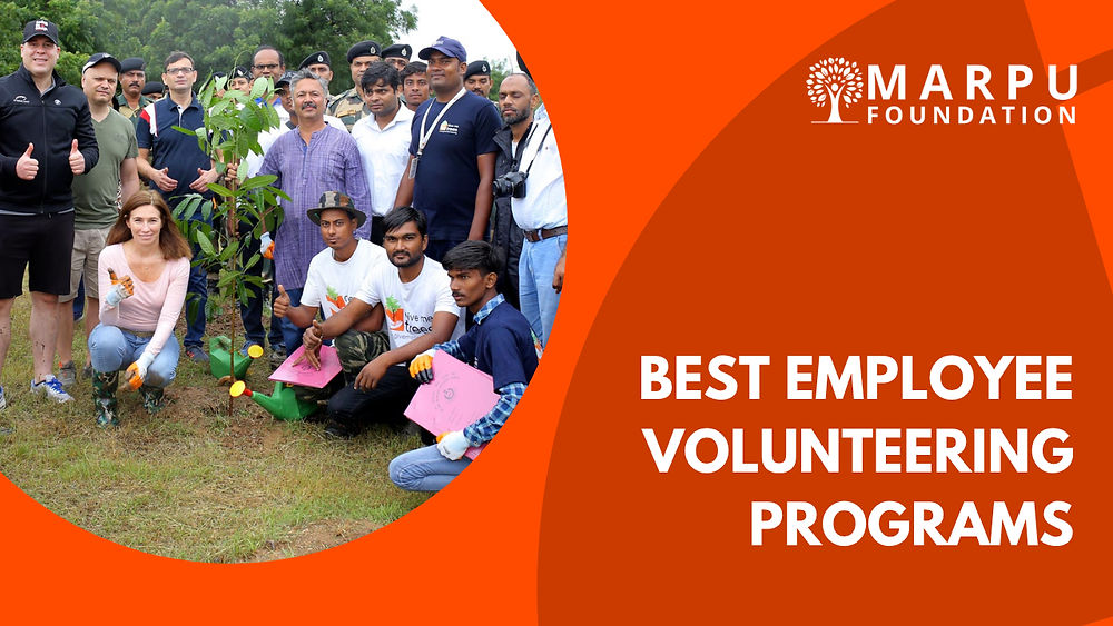 Best Employee Volunteering Programs