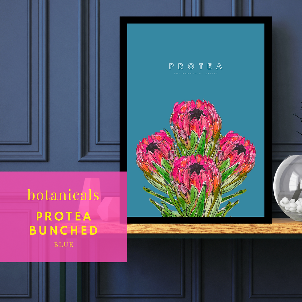 Buy PROTEA BUNCHED BLUE ART PRINT UNFRAMED | Prints & Interiors by The ...