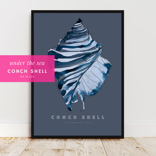 Buy CONCH SHELL ON SLATE ART PRINT UNFRAMED | Prints & Interiors by The ...