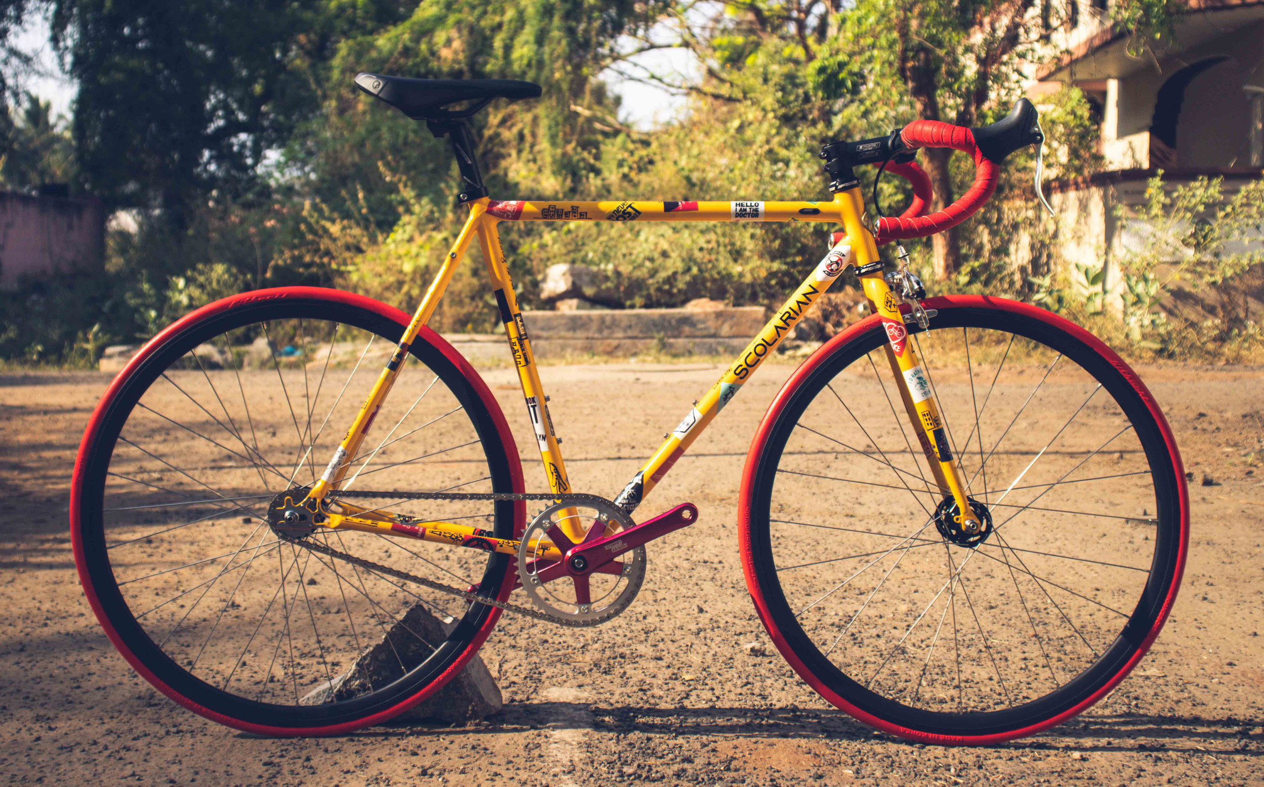 Maria's Build | Scolarian Bikes