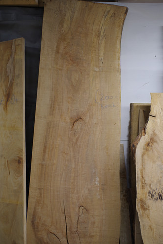Beech slab | Milledwoodcompany