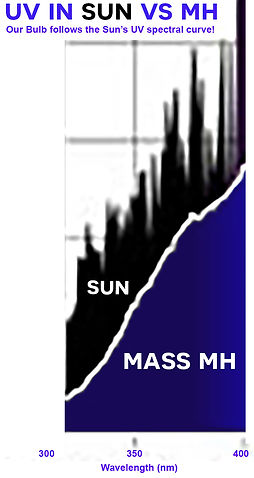 Spectrum | Mass Metal Halide