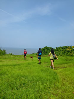 Home | Beatroute Explorers