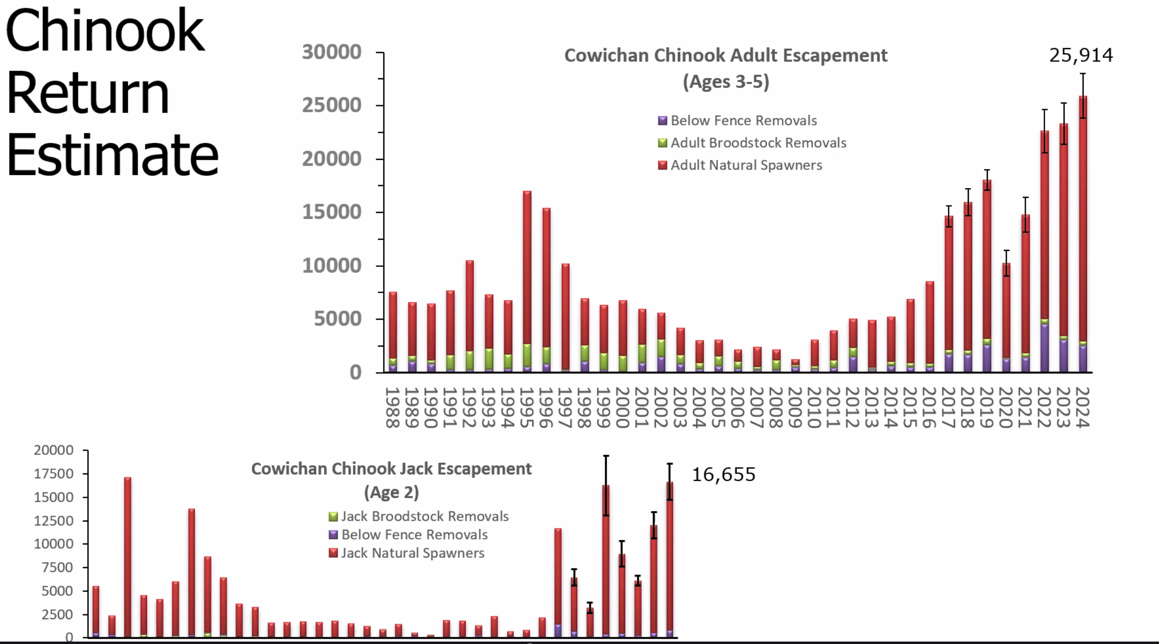 Cowichan River chinook salmon returns highest in at least 36 years