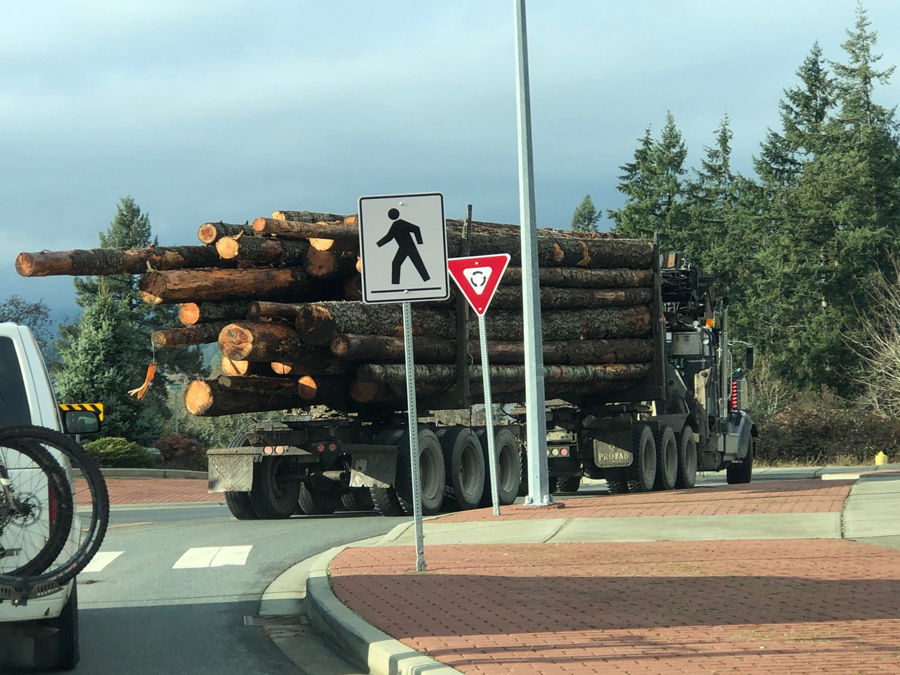 Status-quo cutting in forest reserve would amount to 500+ logging trucks