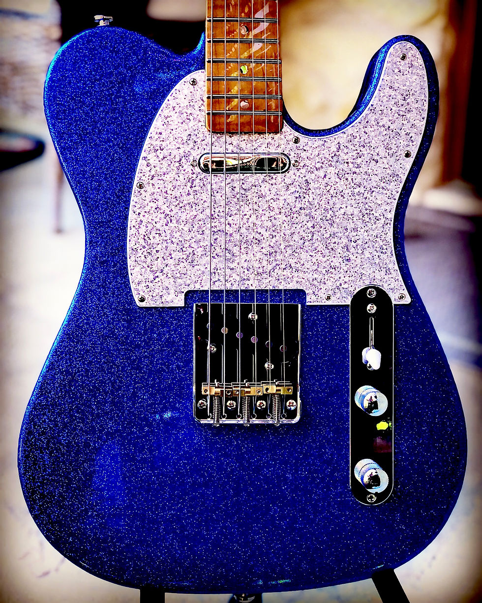 Thin The Herd Guitars / Shop In Stock Custom Built Guitars