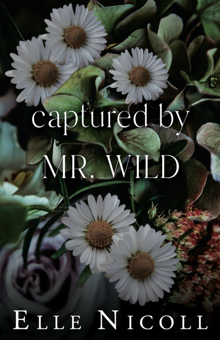 Elle Nicoll | spicy romance books