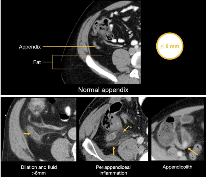 Issue #14: Oct 15th, 2024