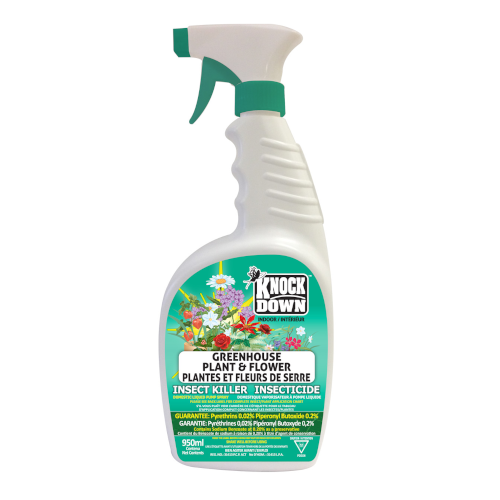 Knockdown Indoor Plant/Flower Insect Killer, 950mL | Alternative Choice ...