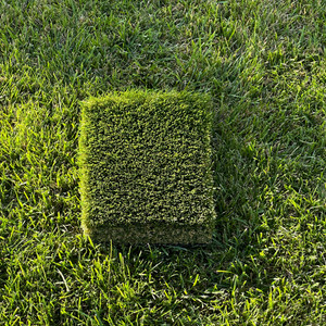 Home | Verdigrass