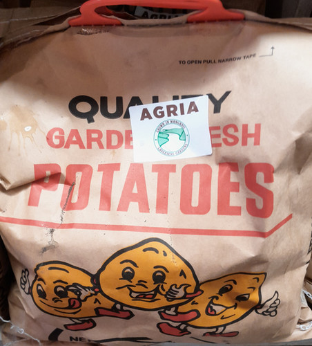 Potato - Agria 5kg | Laugesens Gardens