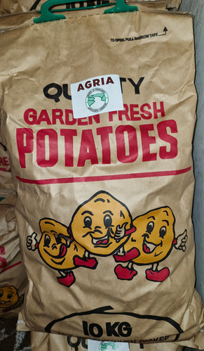 Potato - Agria 10kg | Laugesens Gardens