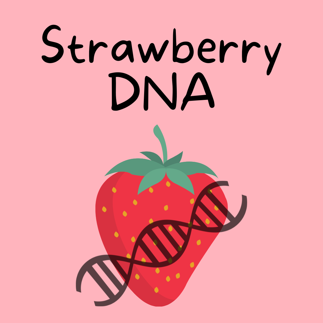 Strawberry DNA
