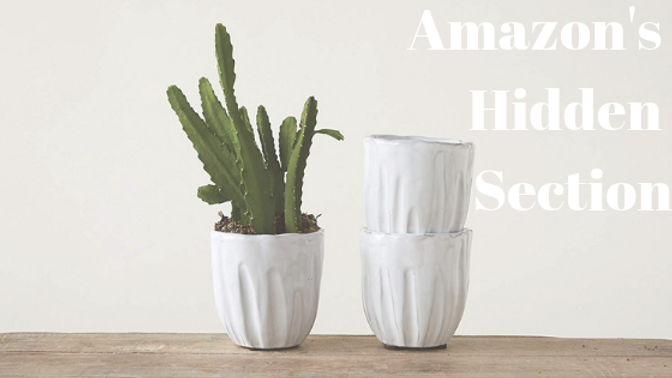 Amazon's Hidden Section