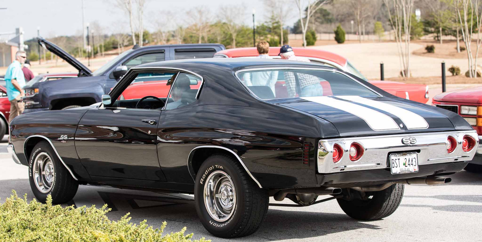 Fullscreen Page | Georgia Classic