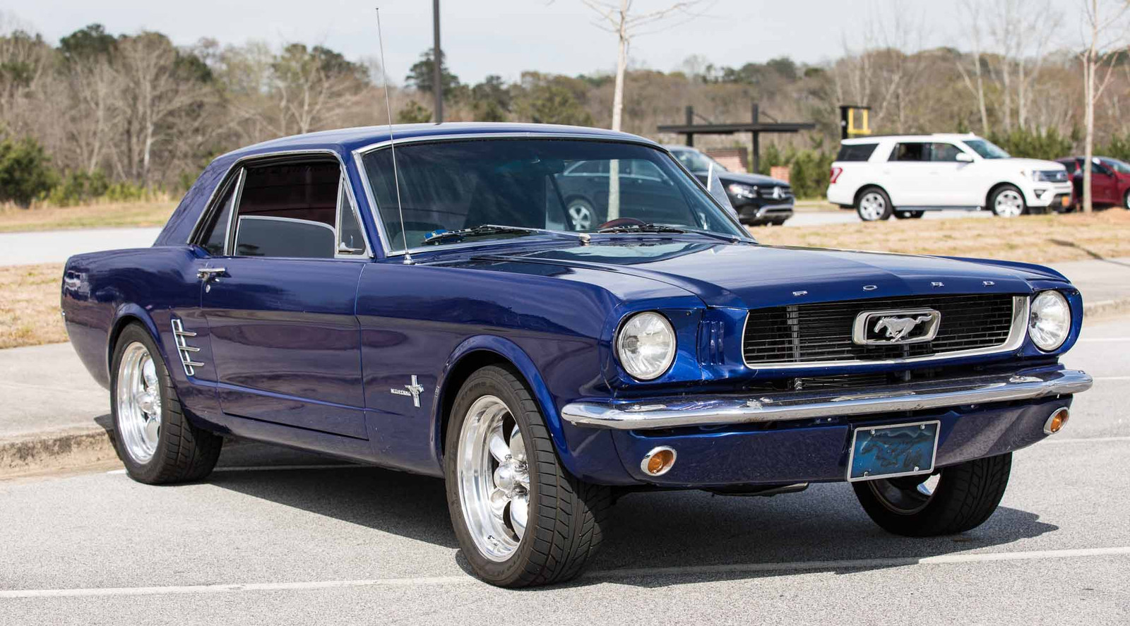 Fullscreen Page | Georgia Classic