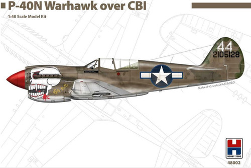 HOBBY 2000 1/48 H2K48002 P-40N Warhawk Over CBI | Frontlinemodelhobbys