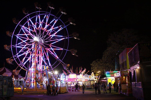 Photos | Hogskin Holidays