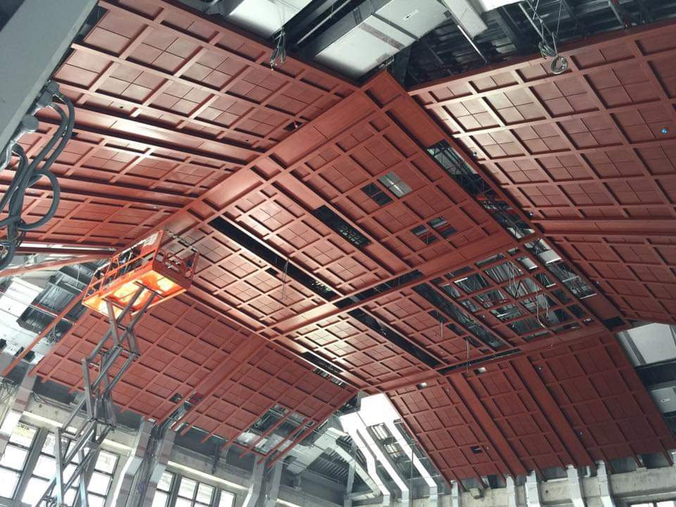 Ceiling Solutions | Finmat